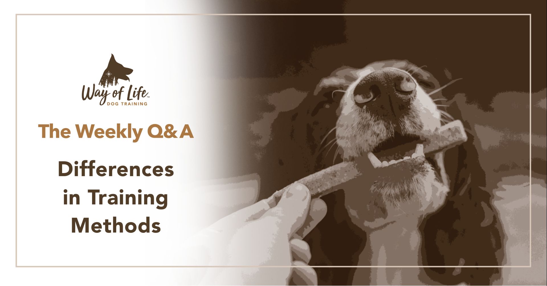 Differences in Training Methods | Way of Life™ Dog Training Differences in Training Methods | Way of Life™ Dog Training
