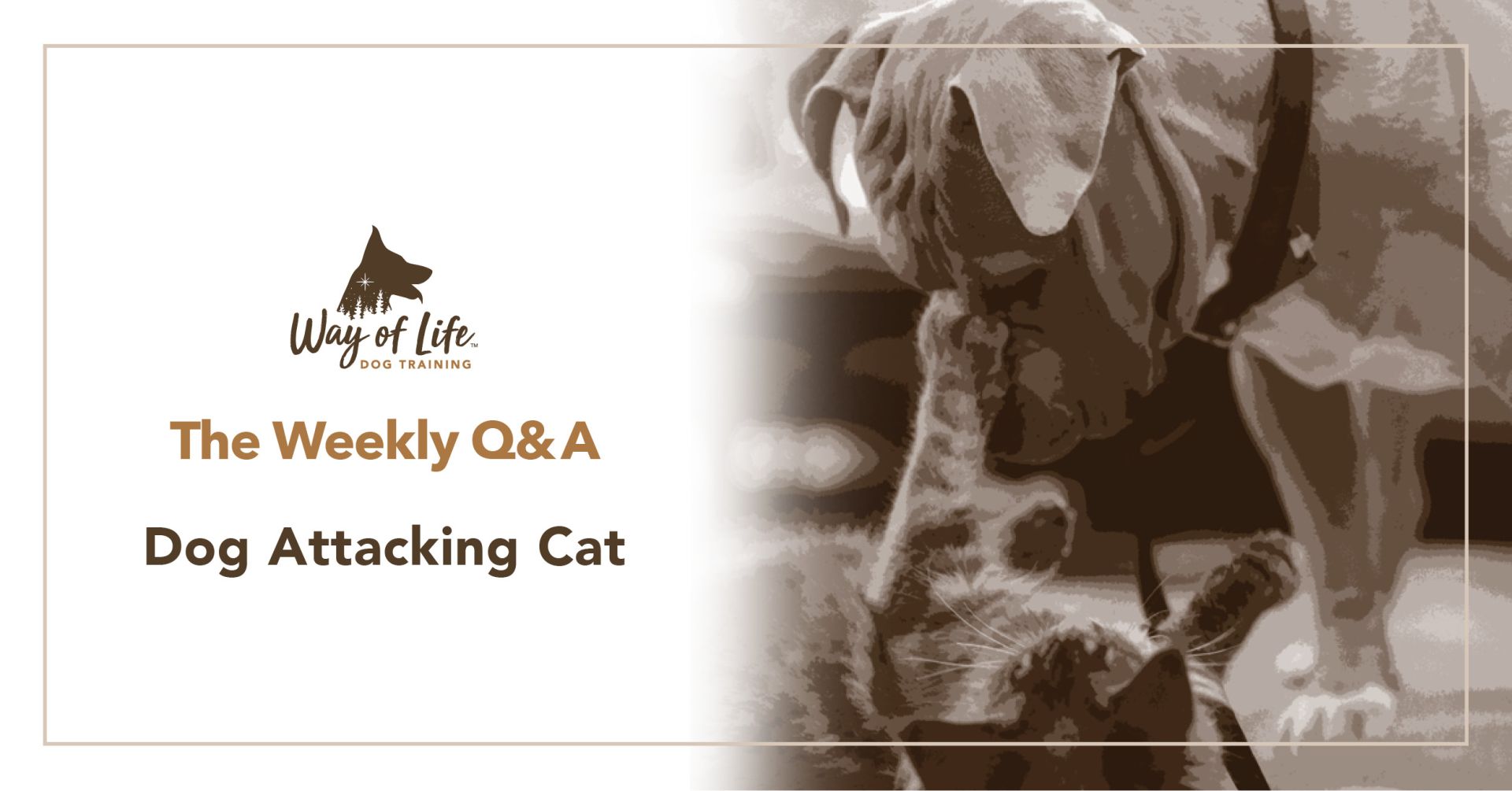 Dog Attacking Cat | Way of Life™ Dog Training