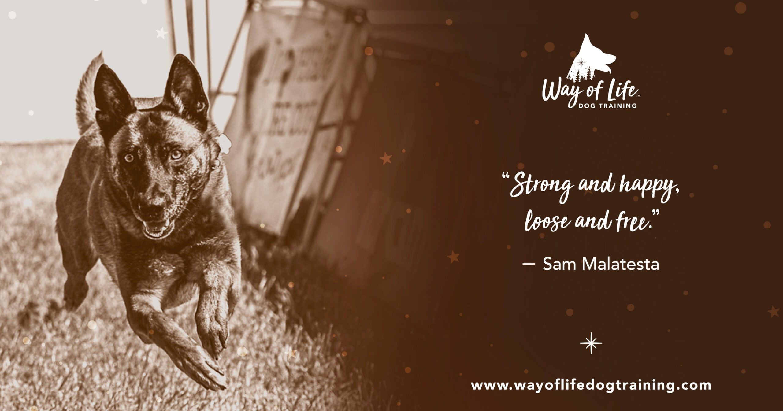 The Question of Freedom and Choice in Raising our Dogs | Way of Life ...