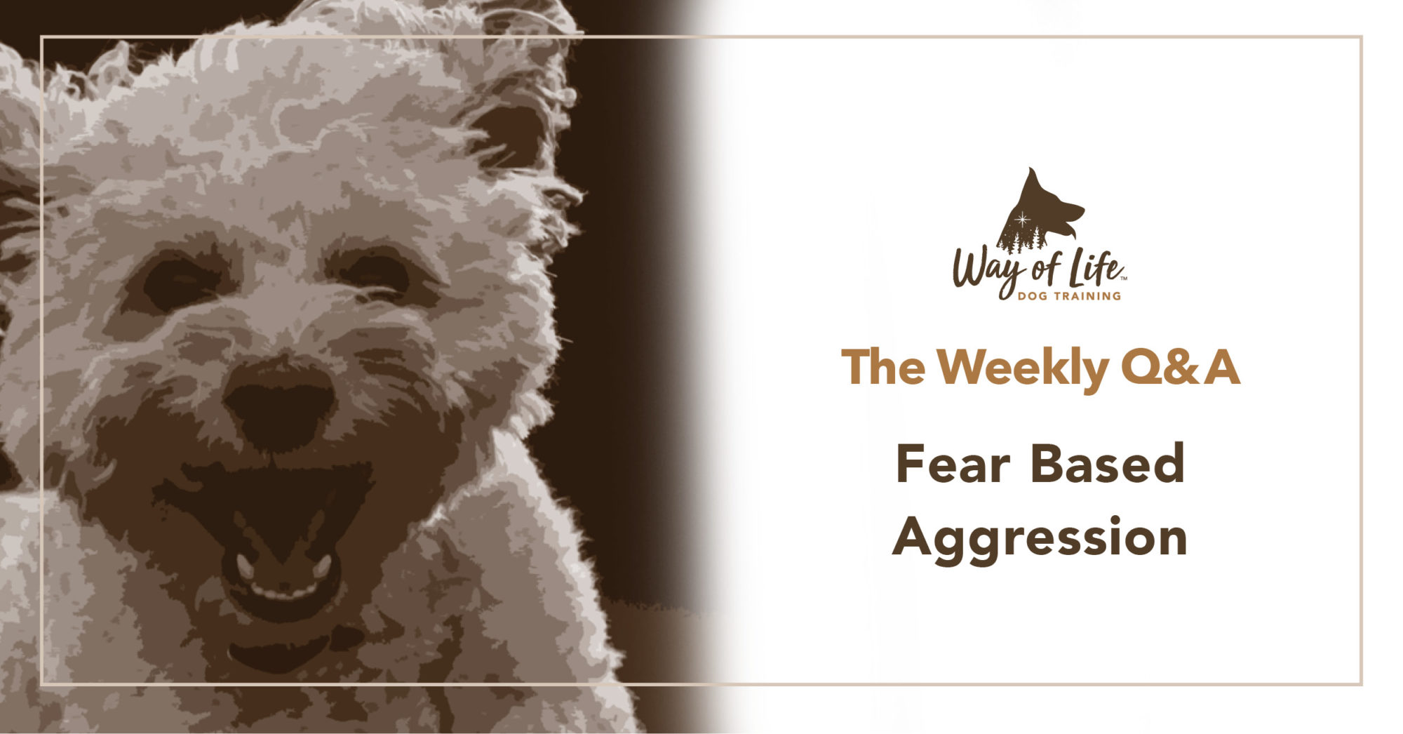Fear-Based Aggression | Way of Life™ Dog Training
