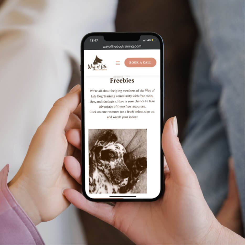 The Way of Life Method | Virtual & In-Person Dog Training