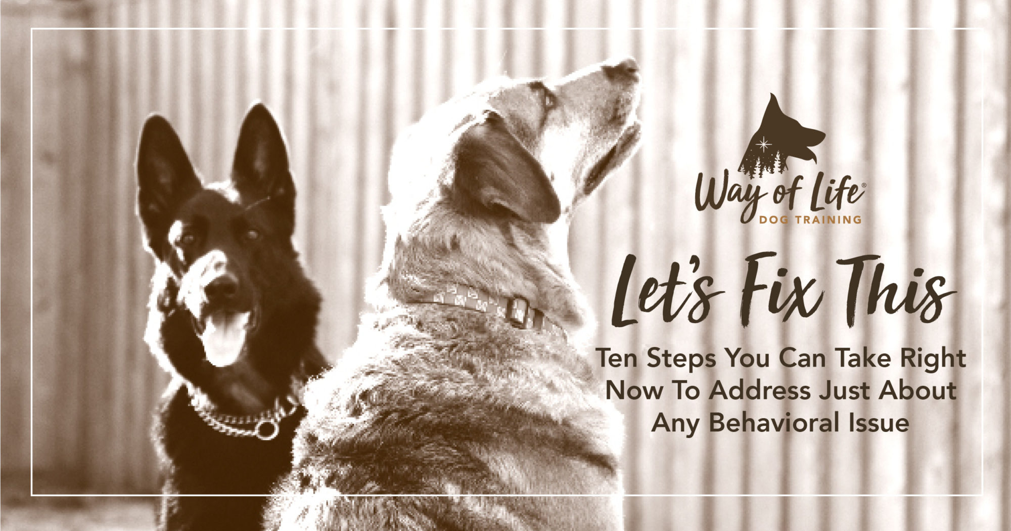 Fix Dog Behavioral Issues: Get a Free 10-Step Guide
